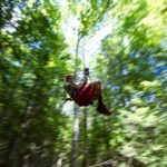 New River Gorge Zip Line Canopy Tour - Key Points