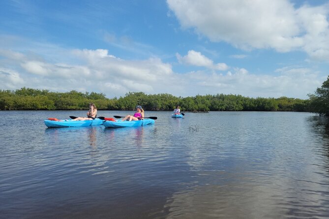New Smyrna Dolphin and Manatee Kayak and SUP Adventure Tour - What to Expect on the Tour