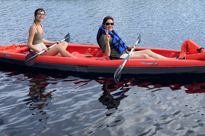 New Smyrna Dolphin and Manatee Kayak and SUP Adventure Tour - Considering the Experience: Pros and Cons