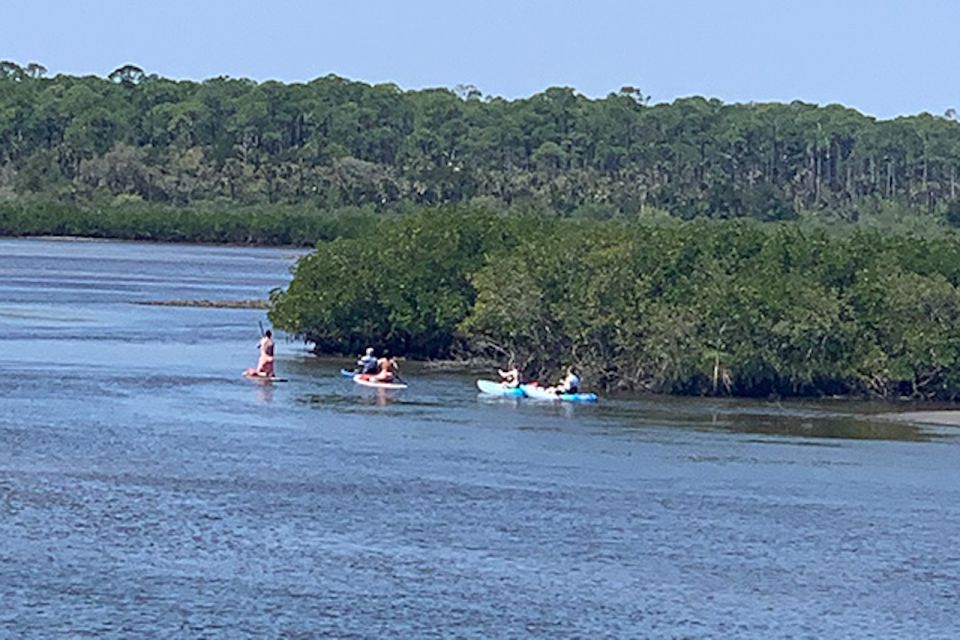 New Smyrna: Half-Day Guided SUP or Kayak Waterways Tour - FAQ