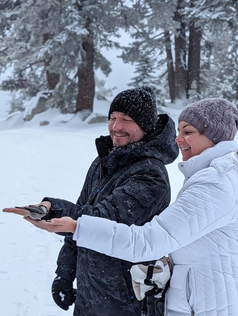 New Washoe City: Chickadee Ridge Beginner Snowshoeing Hike - Guided Experience and Practical Details