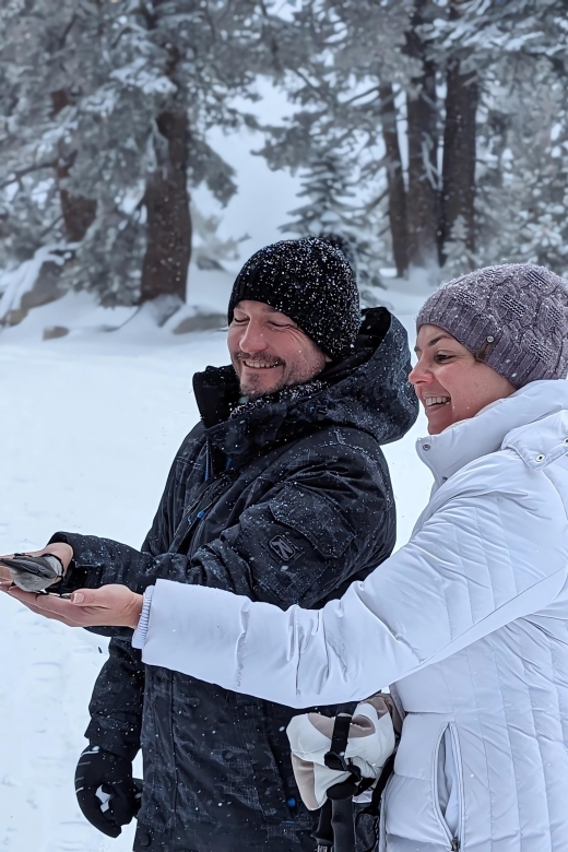 New Washoe City: Chickadee Ridge Beginner Snowshoeing Hike - Final Thoughts: Who Should Consider This Tour?