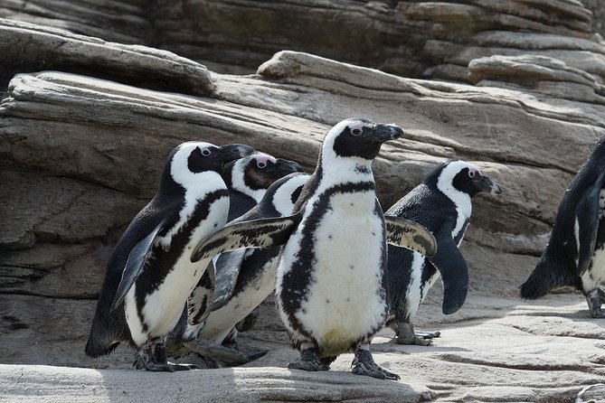 New York Aquarium Admission - Who Would Love This Experience?