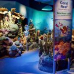 New York Aquarium Admission - Final Thoughts