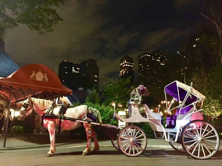 New York: Carriage Ride in Central Park - An In-Depth Look at the Carriage Ride Experience