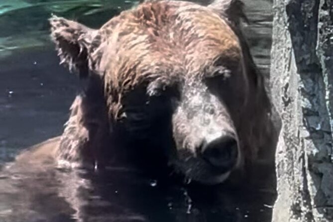 New York Central Park Zoo Ticket - An Inside Look at the Central Park Zoo Experience