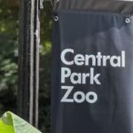 New York Central Park Zoo Ticket - Why the Central Park Zoo Is a Great Choice