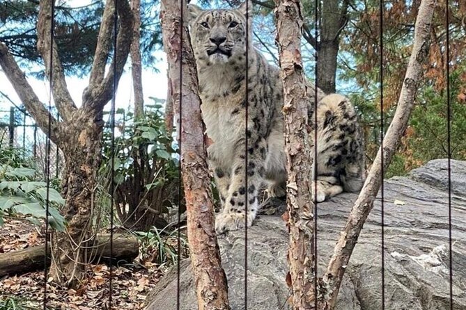 New York Central Park Zoo Ticket - FAQs