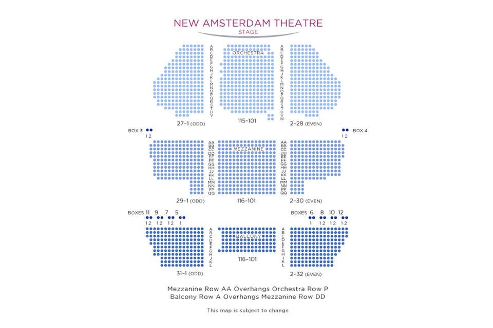 New York City: Aladdin on Broadway Entry Tickets - Interactive Elements and Special Moments