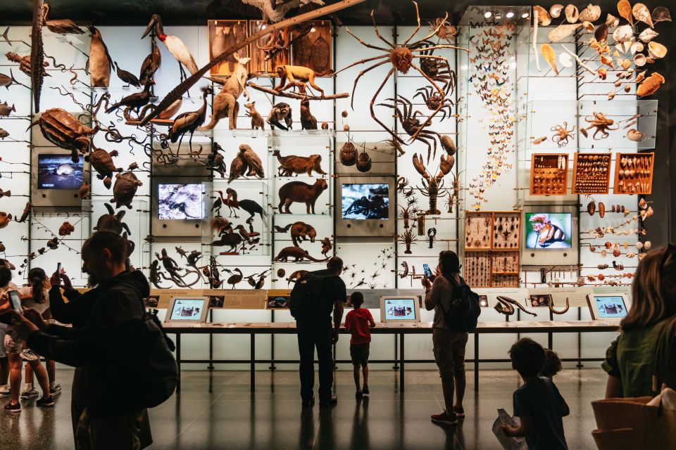 New York City: American Museum of Natural History Ticket - An In-Depth Look at Your Day at the Museum