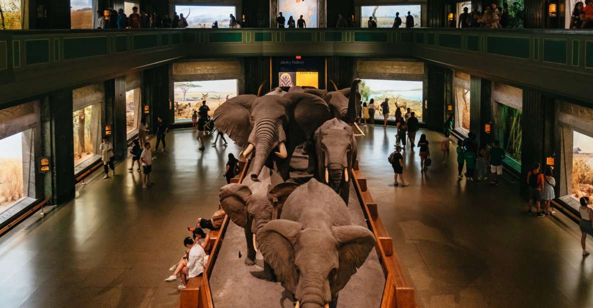 New York City: American Museum of Natural History Ticket - Who Will Love This Experience?