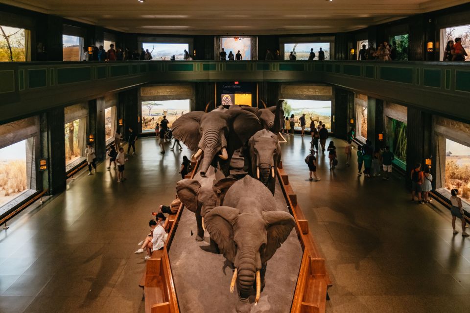 New York City: American Museum of Natural History Ticket - The Sum Up: Is It Worth Visiting?
