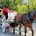 New York City: Central Park Private Horse and Carriage Tour - A Detailed Look at the Itinerary