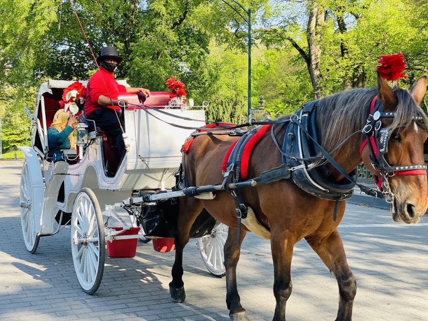 New York City: Central Park Private Horse and Carriage Tour - A Detailed Look at the Itinerary