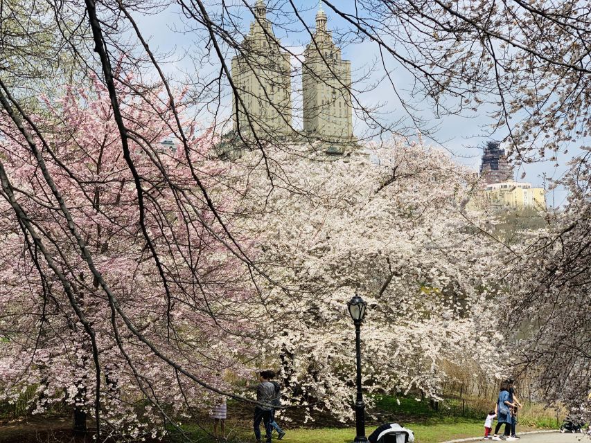 New York City: Central Park Private Horse and Carriage Tour - Authentic Experiences and Guest Insights