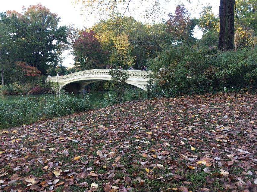 New York City: Central Park Tour by Pedicab - The Guides: Knowledge, Friendliness, and Personal Touches