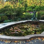 New York City Central Park Walking Tour with a Guide - Final Thoughts