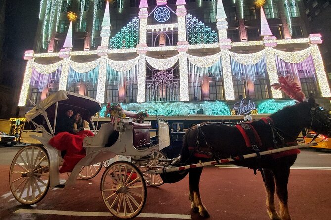 New York City Christmas Lights Private Horse Carriage Ride - A Charming Holiday Experience: New York City Christmas Lights Private Horse Carriage Ride