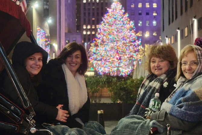 New York City Christmas Lights Private Horse Carriage Ride - What to Expect from This Christmas Carriage Ride