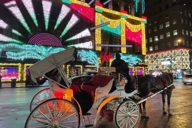 New York City Christmas Lights Private Horse Carriage Ride - Why This Tour Offers Value
