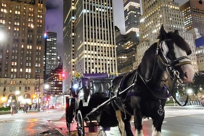 New York City Christmas Lights Private Horse Carriage Ride - Challenges and Considerations