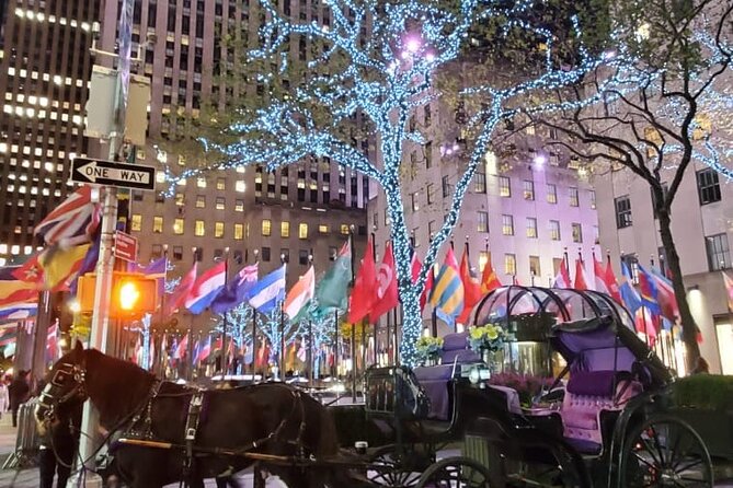 New York City Christmas Lights Private Horse Carriage Ride - Authentic Experiences from Reviewers