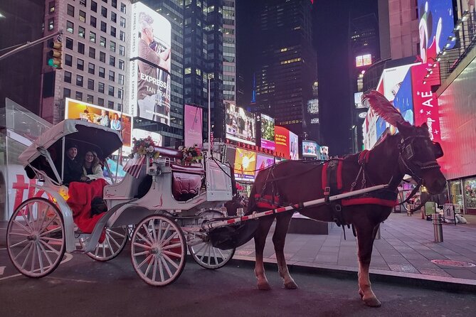 New York City Christmas Lights Private Horse Carriage Ride - The Sum Up