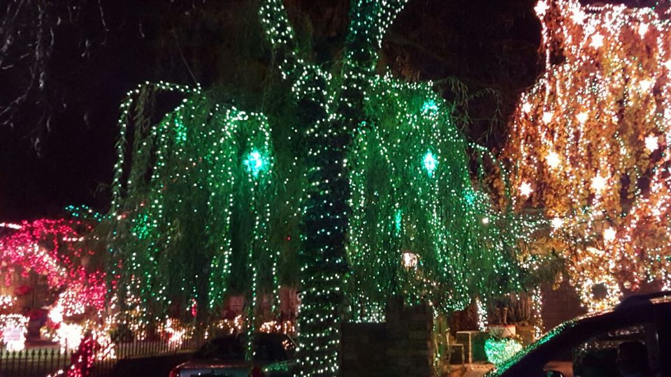 New York City: Dyker Heights Christmas Lights Tour - Who Should Consider This Tour?