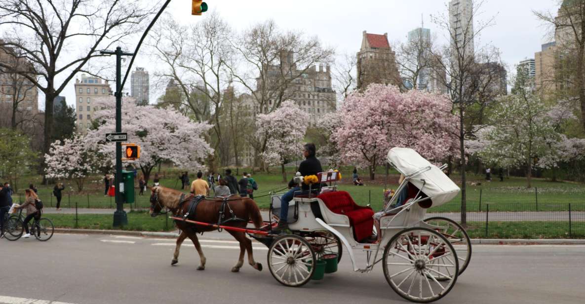 New York City: Horse Carriage Ride through Central Park - Key Points