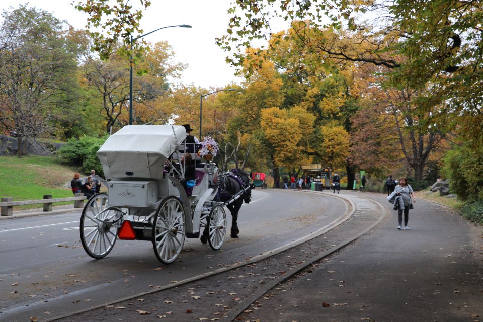 New York City: Horse Carriage Ride through Central Park - A Closer Look at the Experience