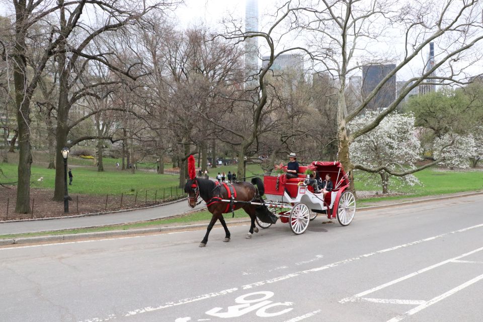 New York City: Horse Carriage Ride through Central Park - Why This Tour Might Be Perfect for You