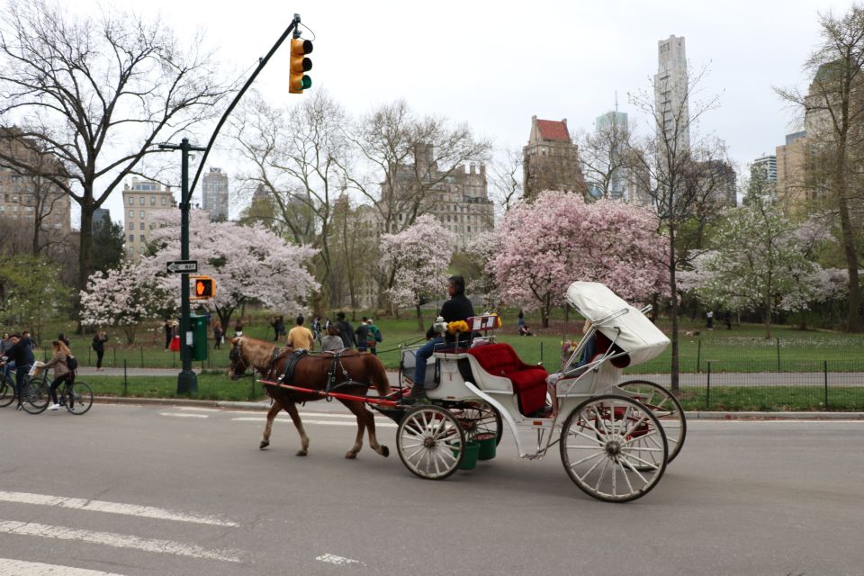 New York City: Horse Carriage Ride through Central Park - Frequently Asked Questions