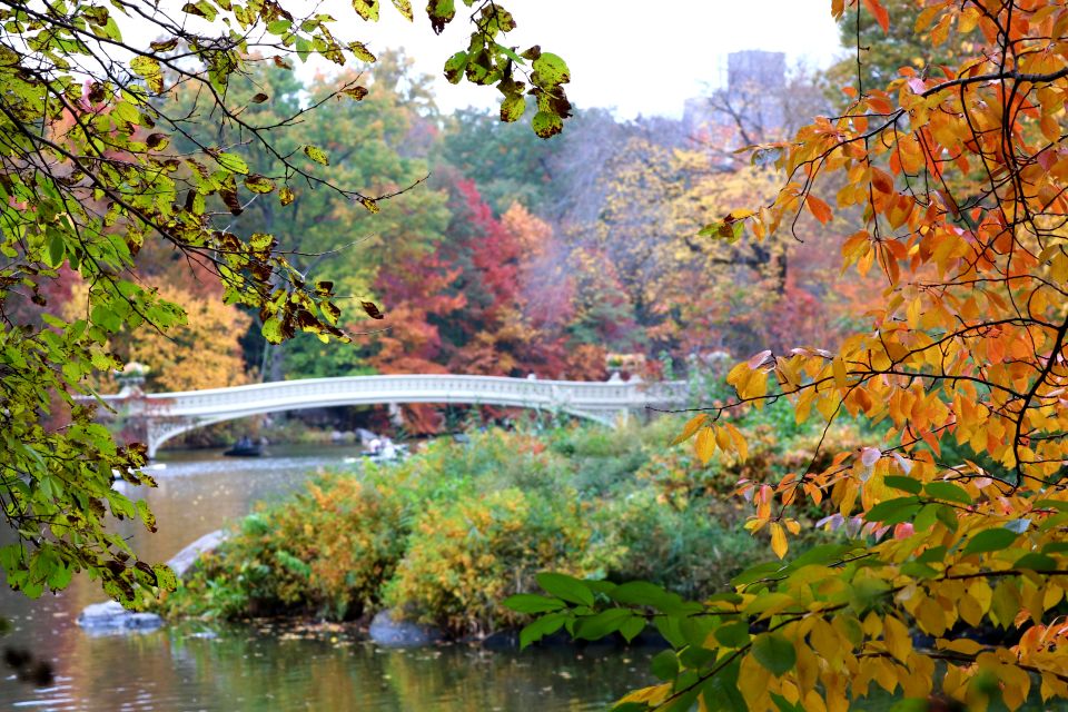 New York City: Pedicab Tour Through Central Park - Frequently Asked Questions