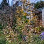 New York City: Secrets Of High Line Park Walking Tour - The Experience in Detail: What You Can Expect