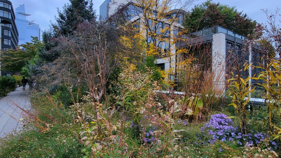 New York City: Secrets Of High Line Park Walking Tour - The Experience in Detail: What You Can Expect