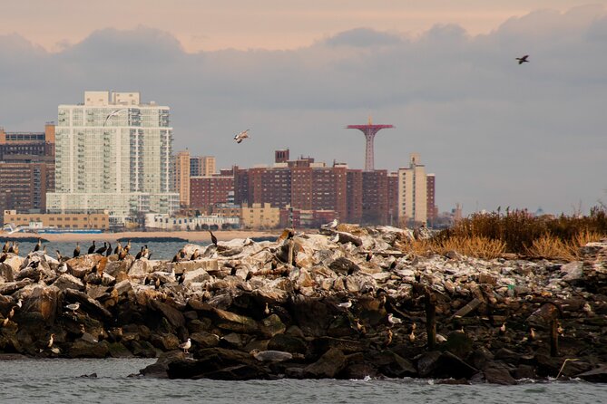 New York City Sightseeing and Seals Boat Tour - Frequently Asked Questions