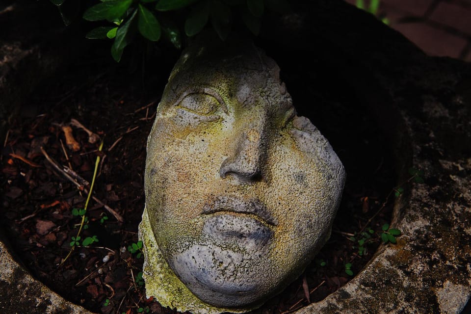 New York City: The Garden Photo Tour - Key Points