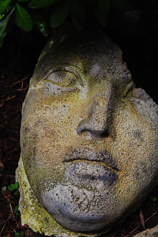 New York City: The Garden Photo Tour - Who Should Book This Tour?