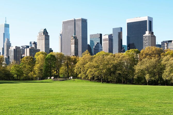 New York City with Metropolitan Museum Half Day Walking Tour - The Breakdown: What to Expect from This Art-Centric Tour  