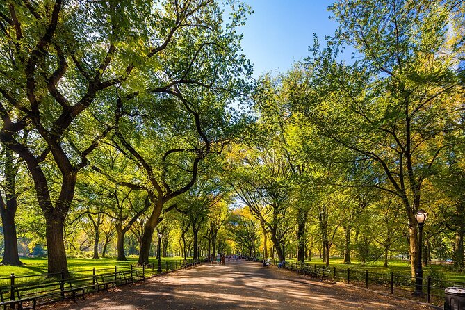 New York City with Metropolitan Museum Half Day Walking Tour - Final Thoughts: Who Will Love This Tour?  