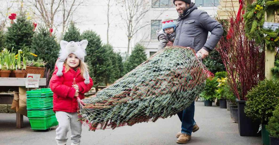 New York Citys Iconic Christmas Tour - The Sum Up