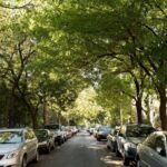 New York Street Food Guided Walking Tour with a Guide - Authentic Experiences and Practical Tips
