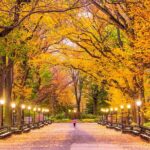 New Yorks Iconic Central Park: A Self-Guided Audio Tour - Challenges and Considerations