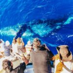 Newport Beach: 2-Hour Whale Watching Tour - Value and Practical Tips