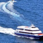 Newport Beach: Ferry Ticket to/from Catalina Island - The Itinerary and What to Expect