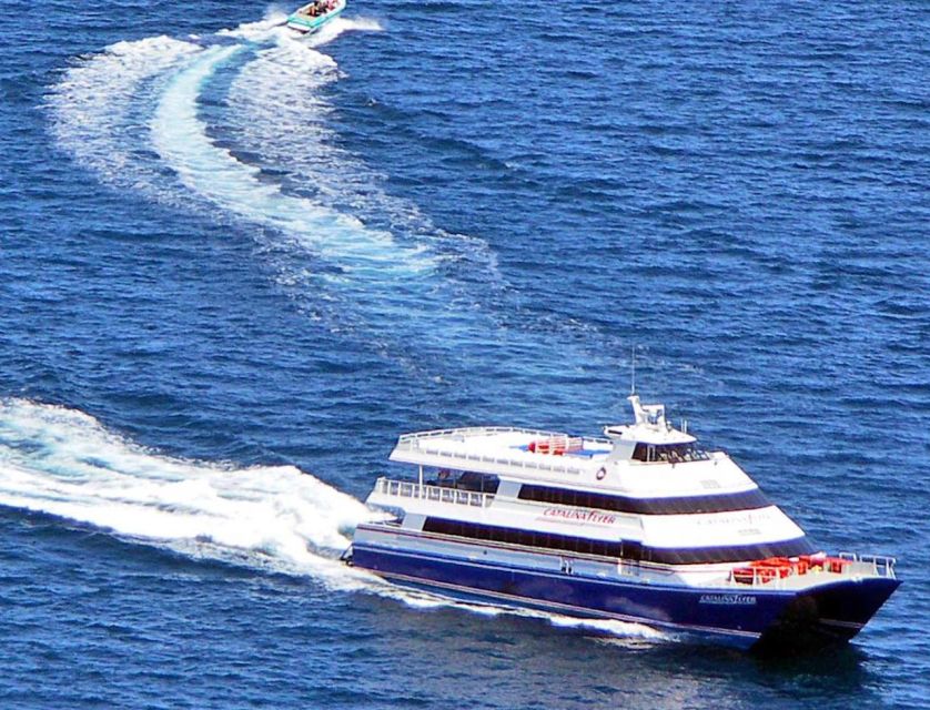 Newport Beach: Ferry Ticket to/from Catalina Island - The Itinerary and What to Expect