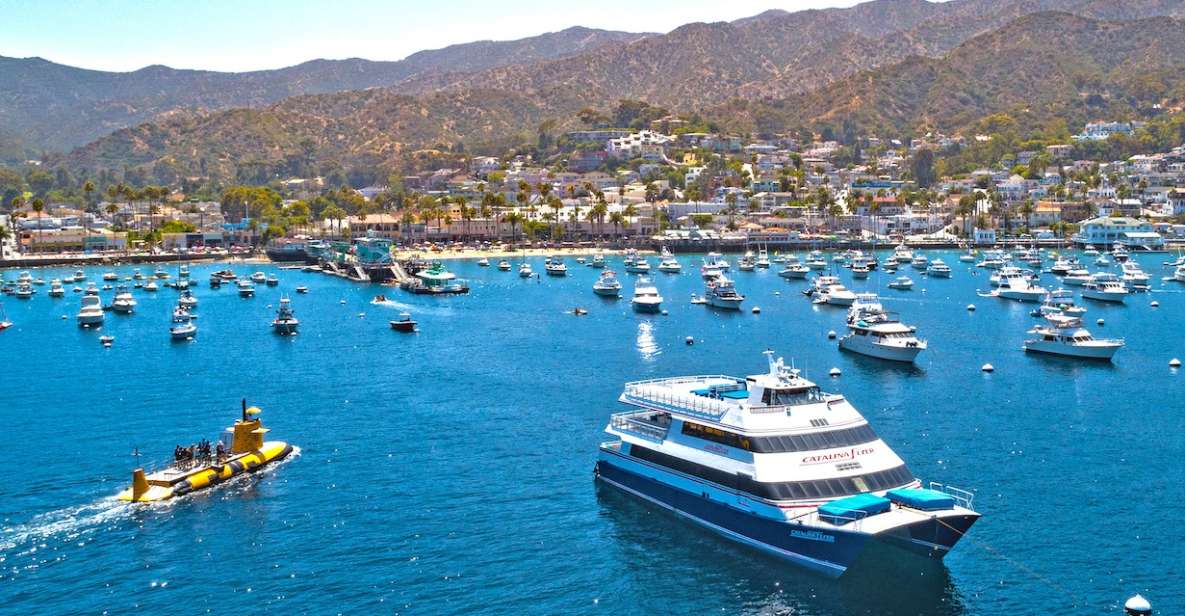 Newport Beach: Ferry Ticket to/from Catalina Island - Final Thoughts