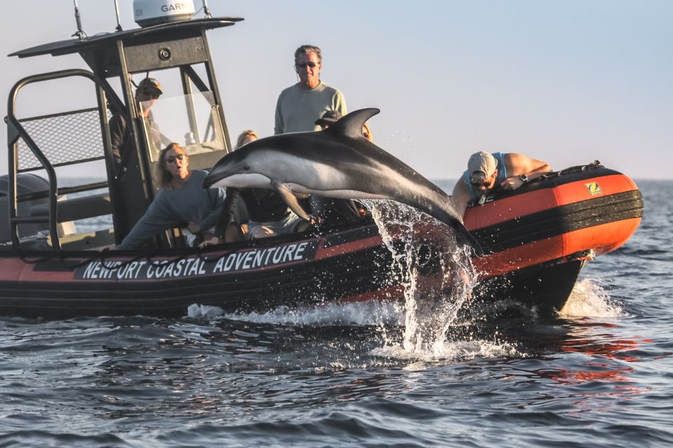 Newport Beach: Ultimate Whale Watching Adventure - Key Points