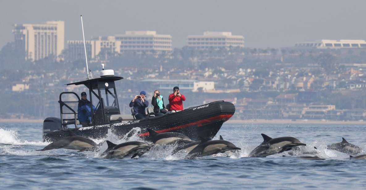 Newport Beach: Ultimate Whale Watching Adventure - Final Thoughts
