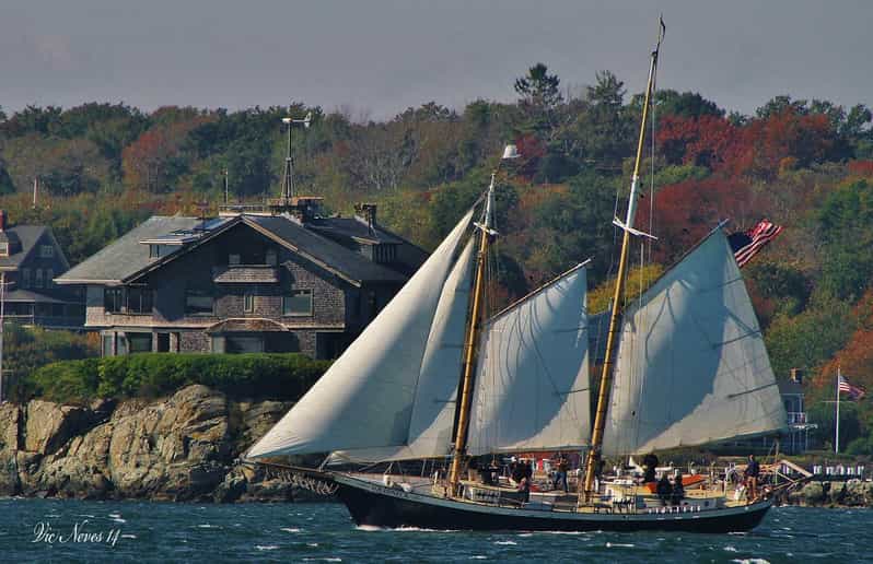 Newport: Morning Mimosa Sail aboard Schooner Aquidneck - The Itinerary: What to Expect